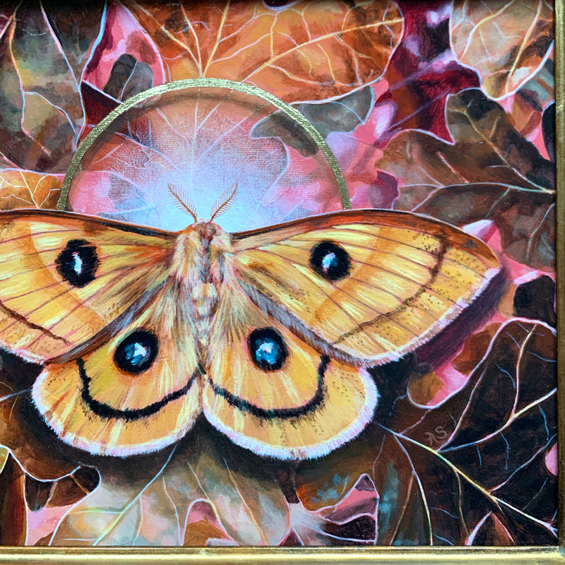 "Alchemy" Tau Emperor Moth Painting | yellow moth painting - The Copper ...