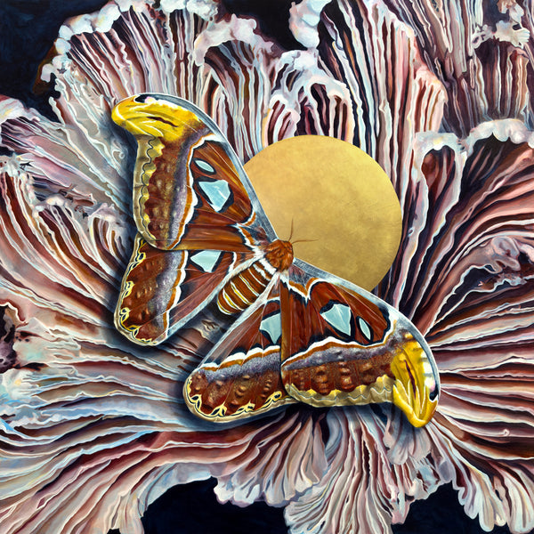 Moth & Butterfly Paintings | Symbolic Moth Artwork for Sale - The ...