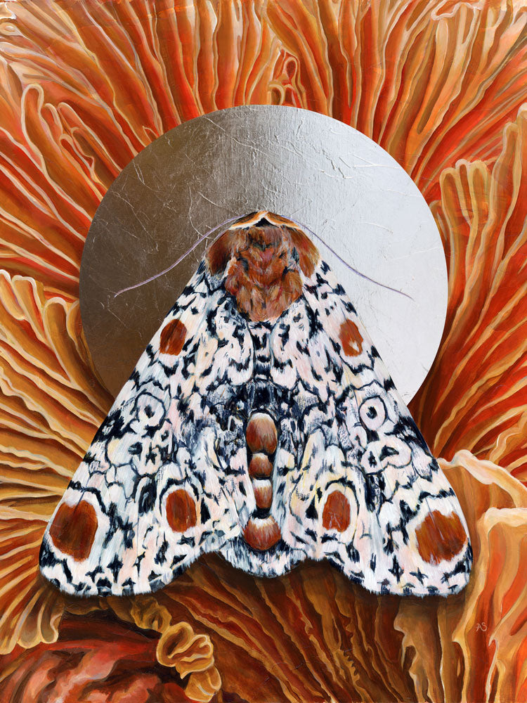 Moth Art | Butterfly Art | Insect Art Prints by Aimee Schreiber - The ...