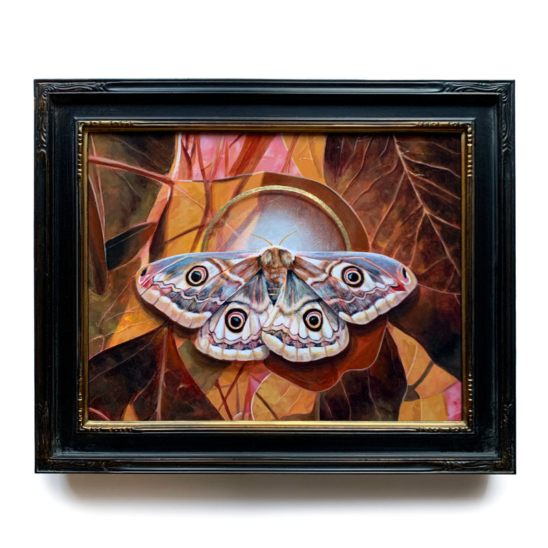 Moth & Butterfly Paintings | Symbolic Moth Artwork for Sale - The ...