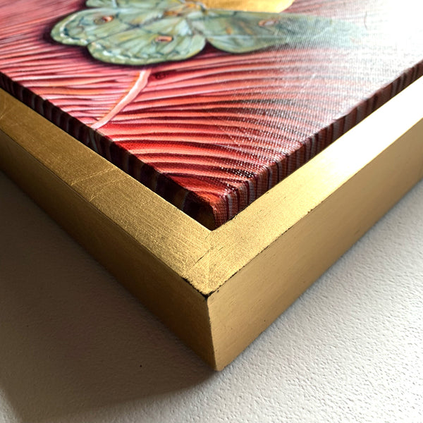 "Harmony" copaxa lavendera moth painting | green moth mushroom gills ...