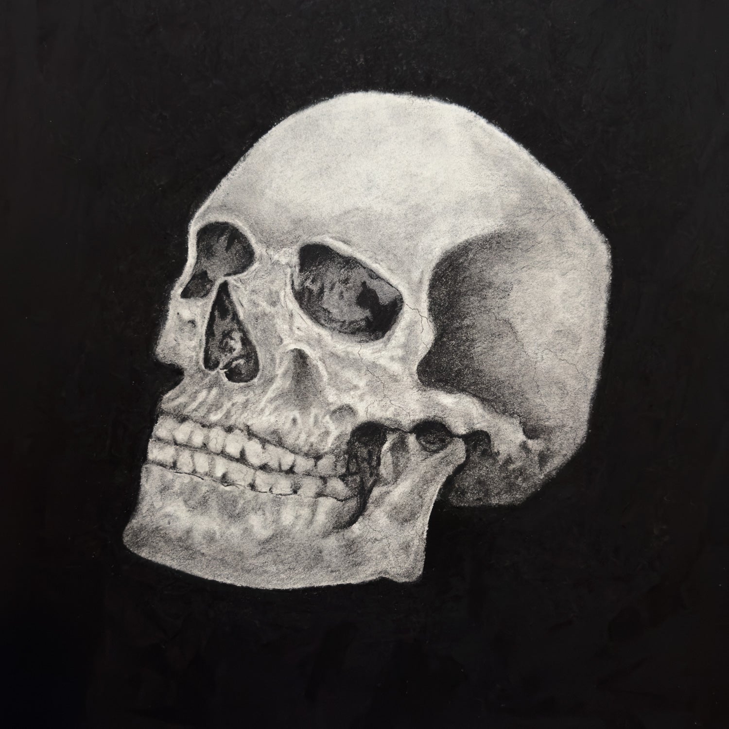 "Time" Skull Charcoal Drawing | Human Skull Drawing for Sale | Danny ...