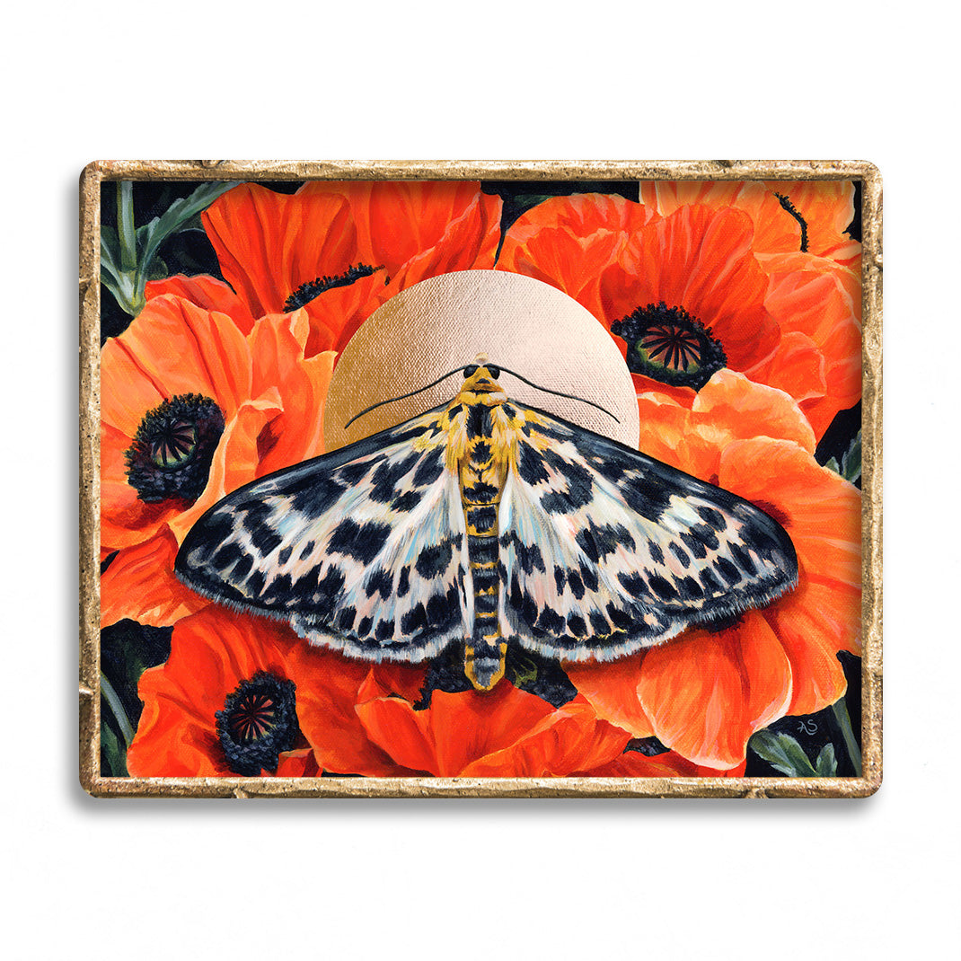 Moth Art | Butterfly Art for Wall | Art for Insect Lovers - The Copper Wolf
