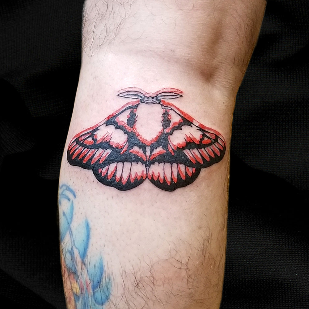 Lydia Pitts Tattoo Artist Portfolio - The Copper Wolf