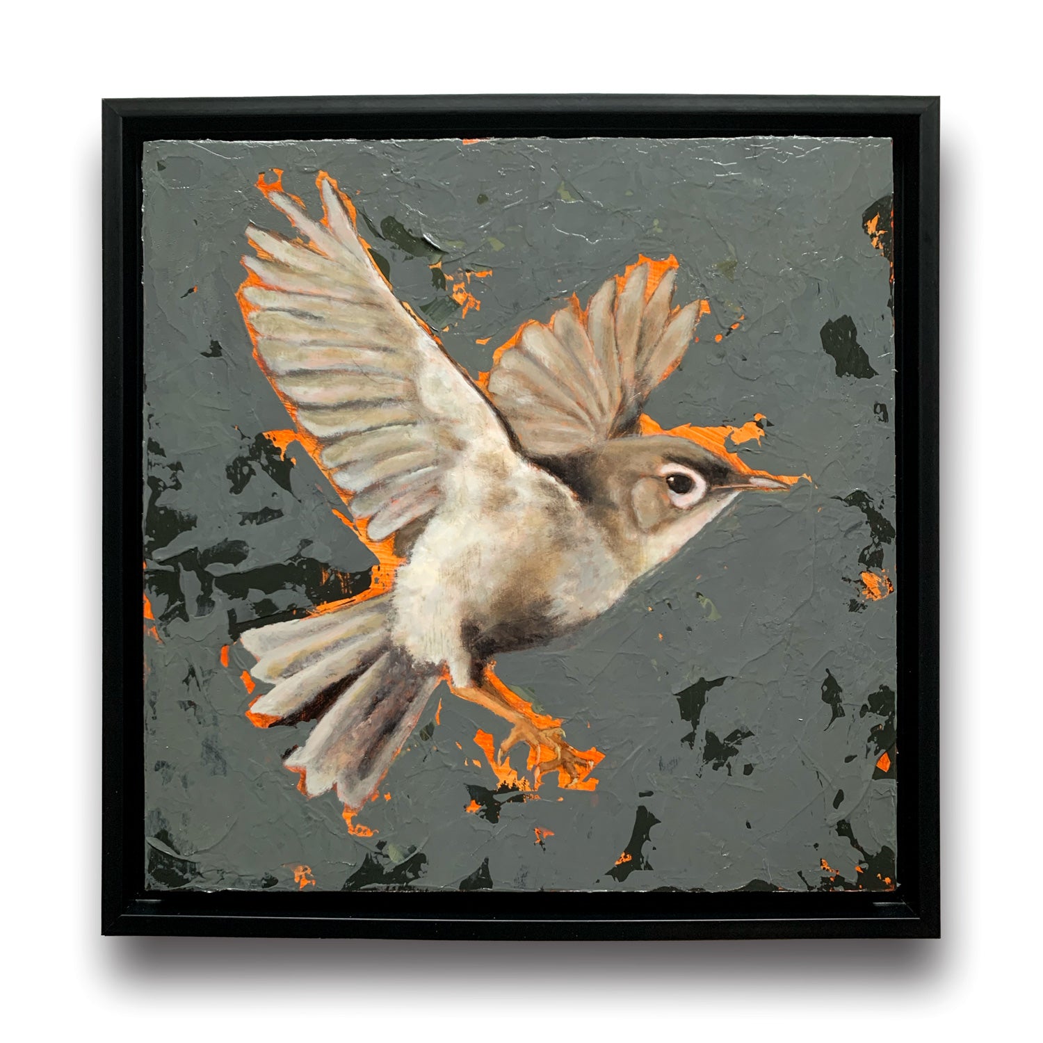 Animal Paintings For Sale | Vibrant Animal Art by Danny Schreiber - The ...