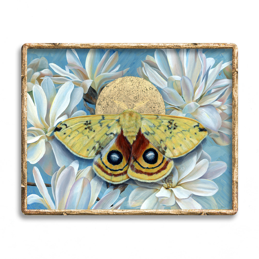 Moth Art | Butterfly Art for Wall | Art for Insect Lovers - The Copper Wolf