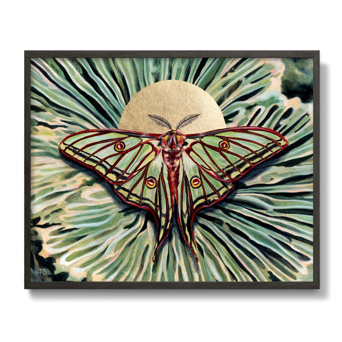Moth Art | Butterfly Art for Wall | Art for Insect Lovers - The Copper Wolf
