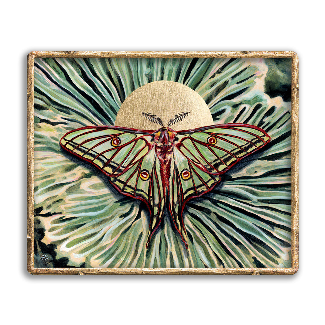 Moth Art | Butterfly Art for Wall | Art for Insect Lovers - The Copper Wolf