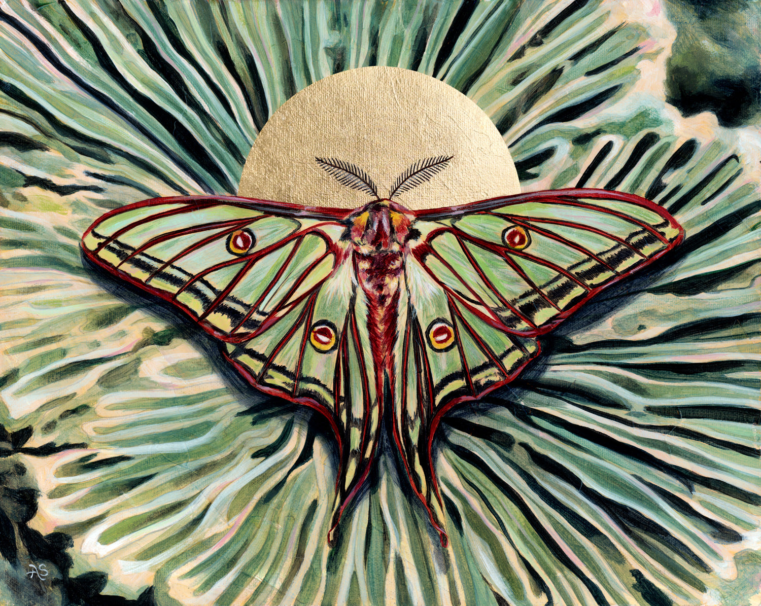 Spanish Moon Moth Tattoo
