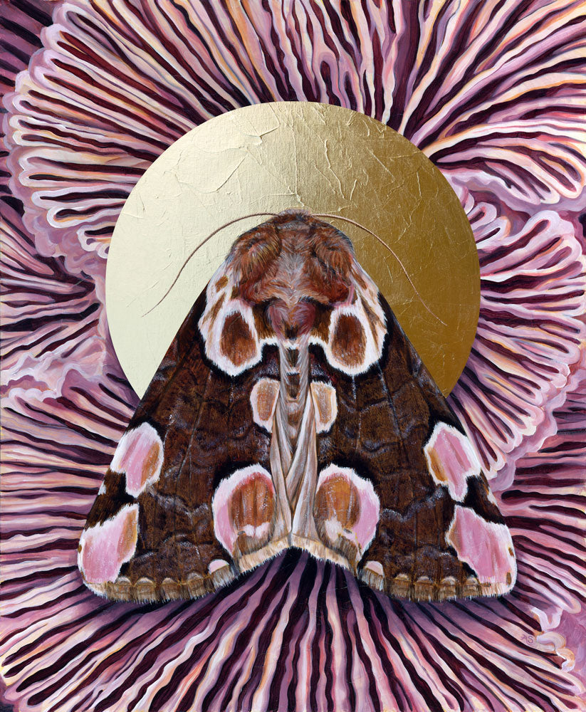 Moth Art | Butterfly Art | Insect Art Prints by Aimee Schreiber - The ...