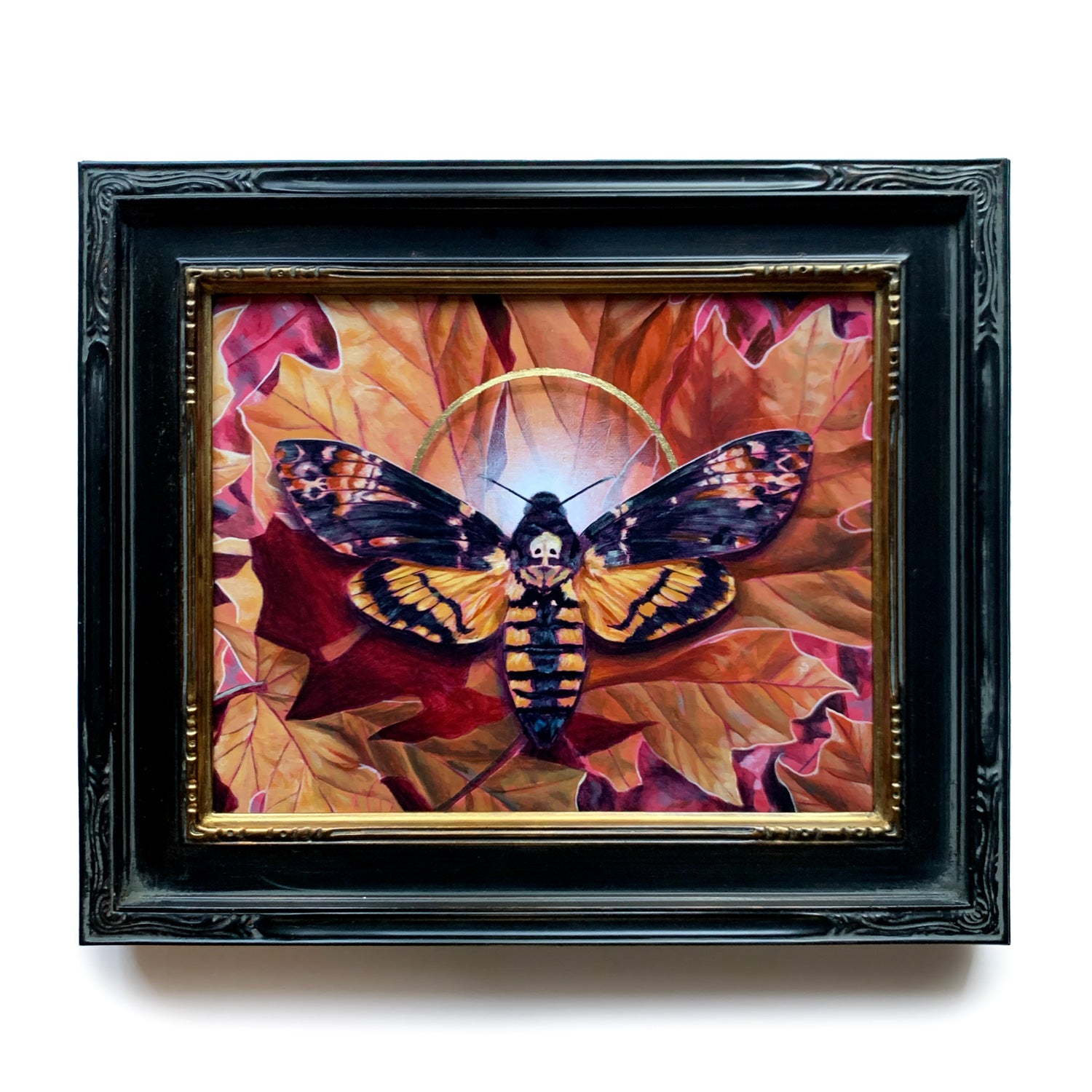 "Transmutation" Death's Head Moth Painting | hawk moth painting - The ...