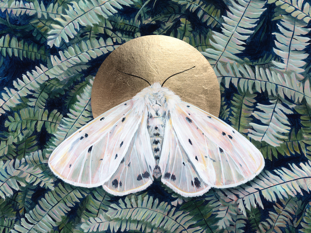 Moth Art | Butterfly Art for Wall | Art for Insect Lovers - The Copper Wolf