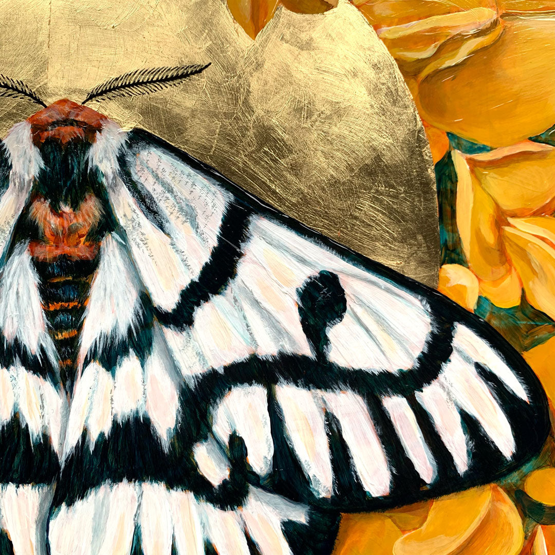 Moth & Butterfly Paintings | Mystical Insect Art for Sale - The Copper Wolf