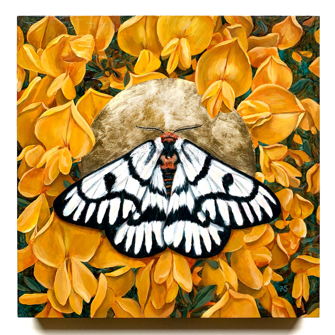 Moth & Butterfly Paintings | Mystical Insect Art for Sale - The Copper Wolf