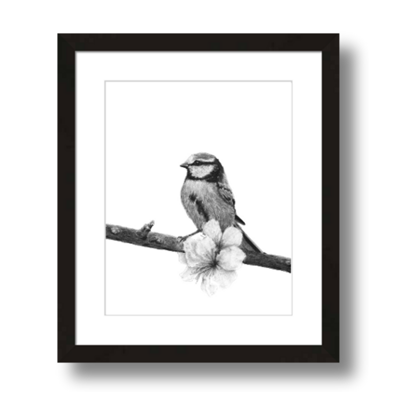 "Songbird" Art Print | Songbird Charcoal Print for Sale by Danny ...